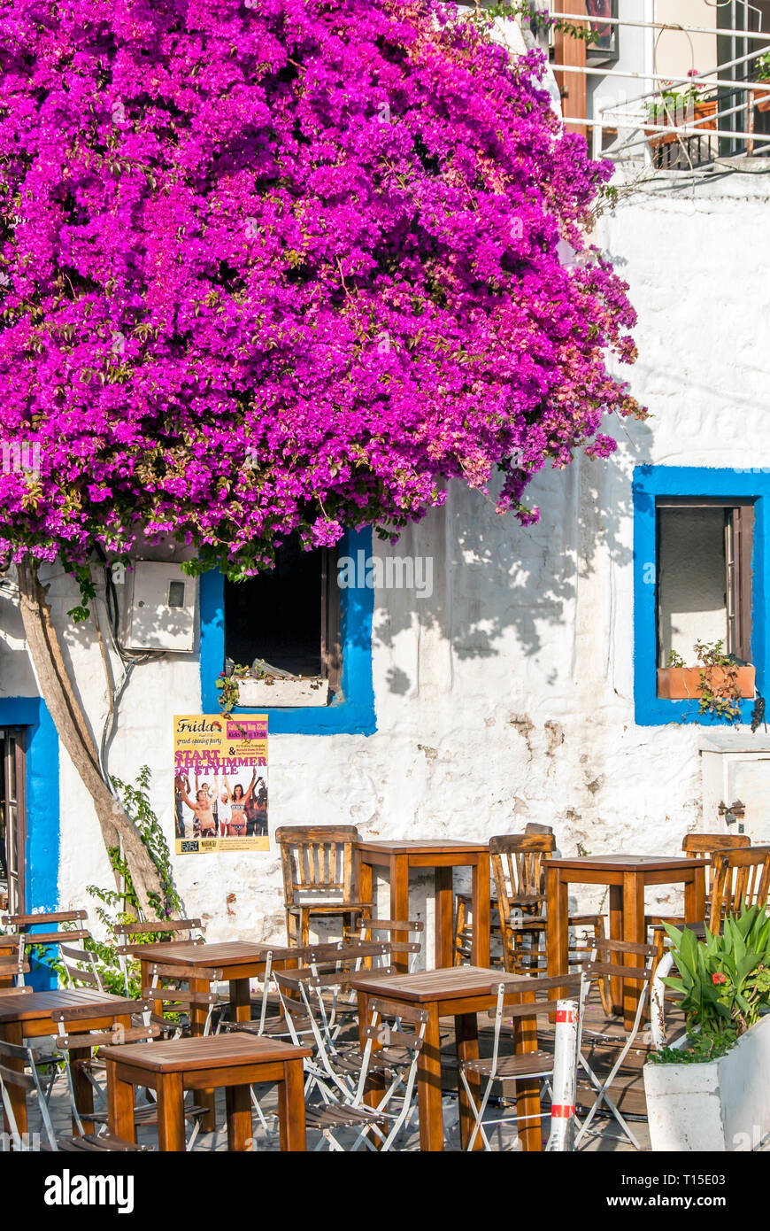 Bodrum bar street hi-res stock photography and images - Alamy
