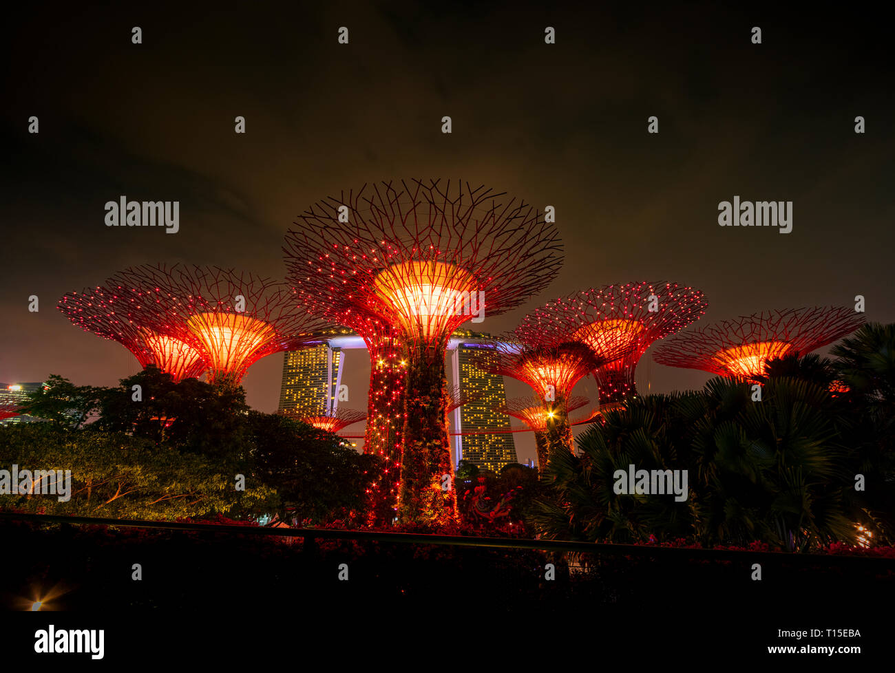 Singapore, Marina Bay, Gardens by the Bay, Super trees at night Stock ...