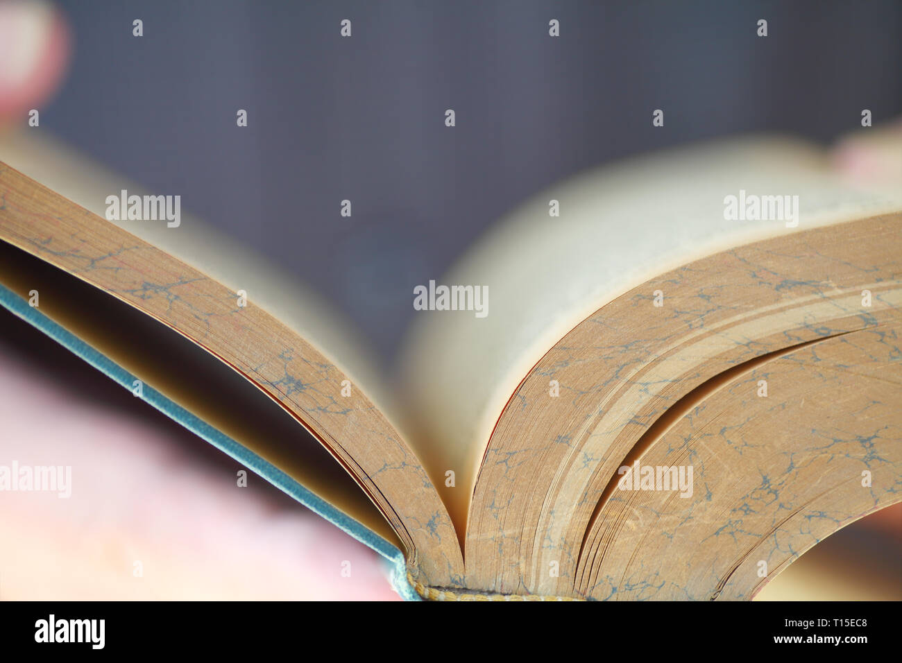 Decorative page edges of an old book held by a man Stock Photo - Alamy