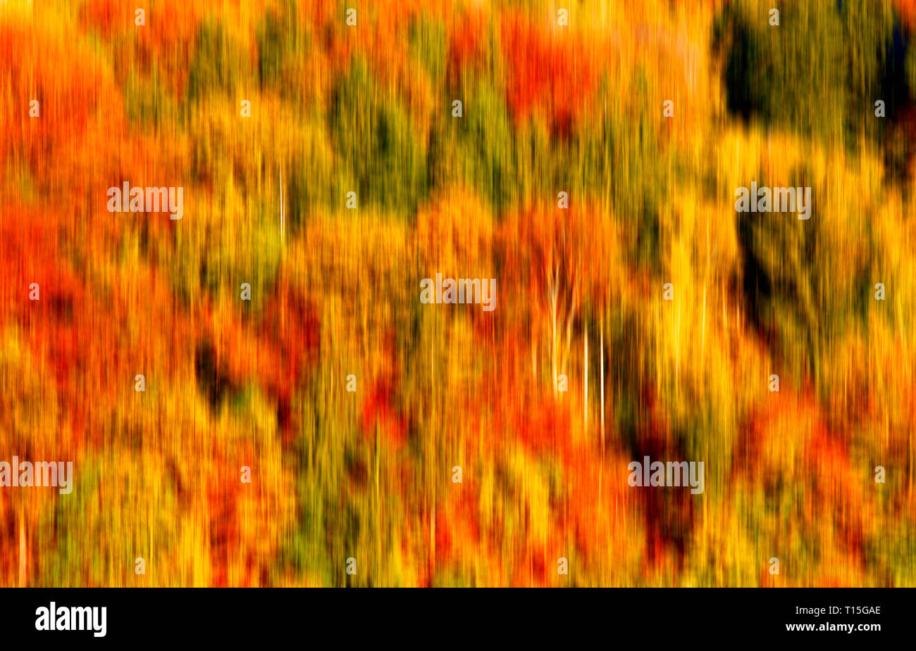 Blurred background colours hi-res stock photography and images - Alamy
