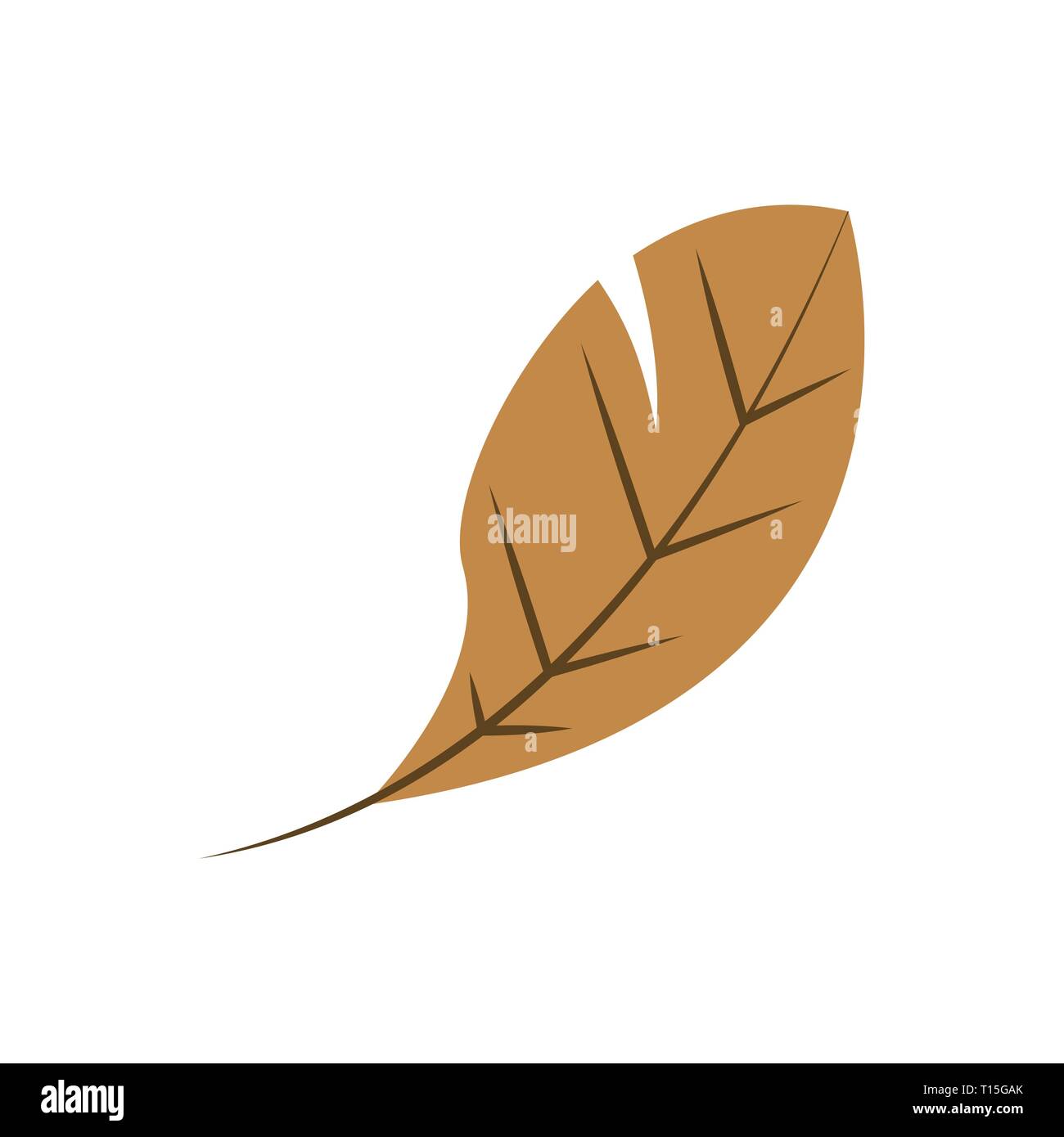 Dry Leaf Shape Vector Symbol Illustration Graphic Design Template Stock ...