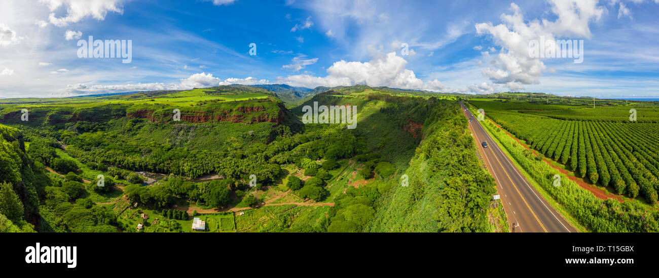 USA, Hawaii, Kauai, Hanapepe Valley, Hanapepe River and Kaumualii ...