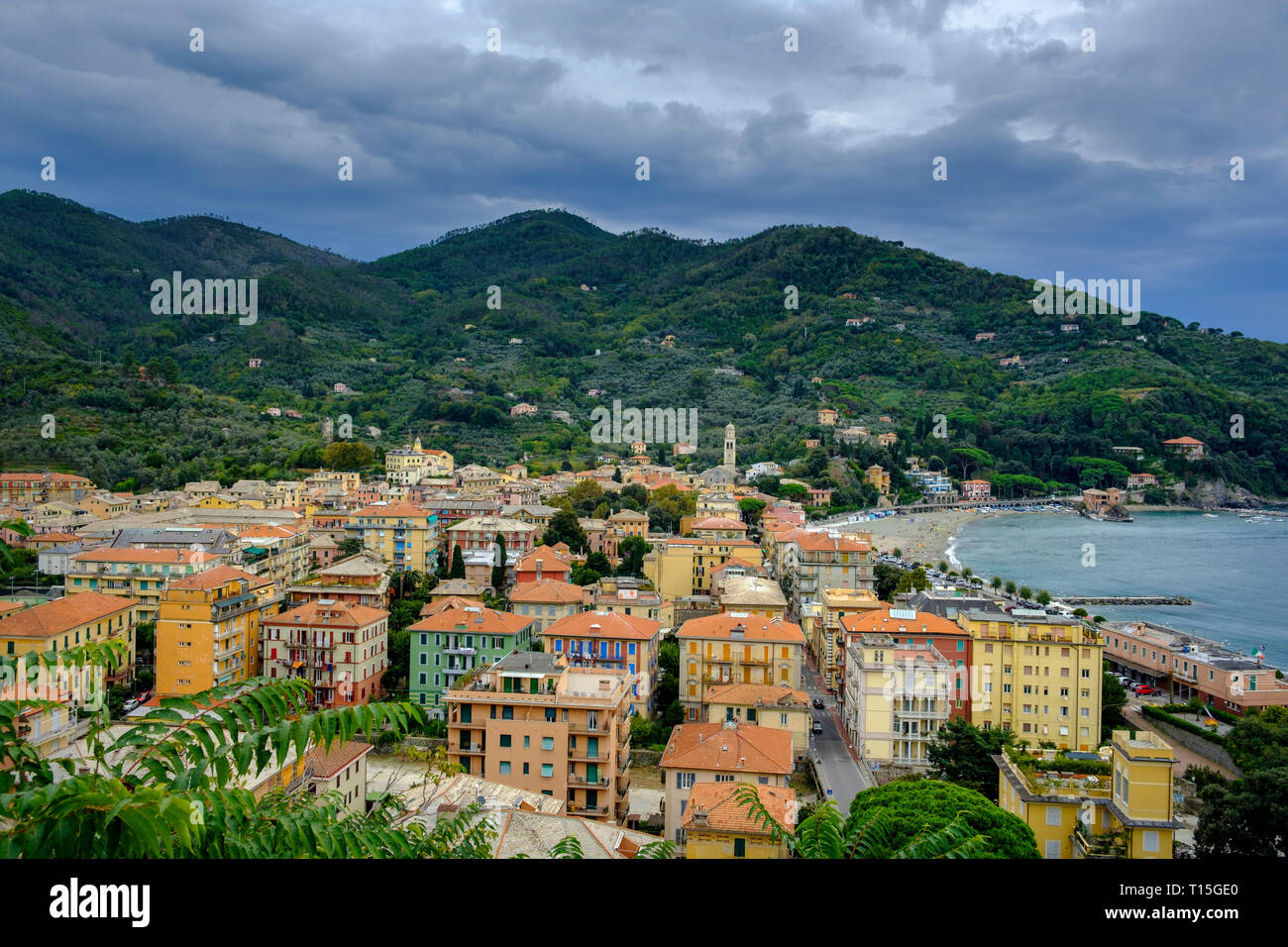 Italy, Cinque Terre, bay of Levanto Stock Photo - Alamy