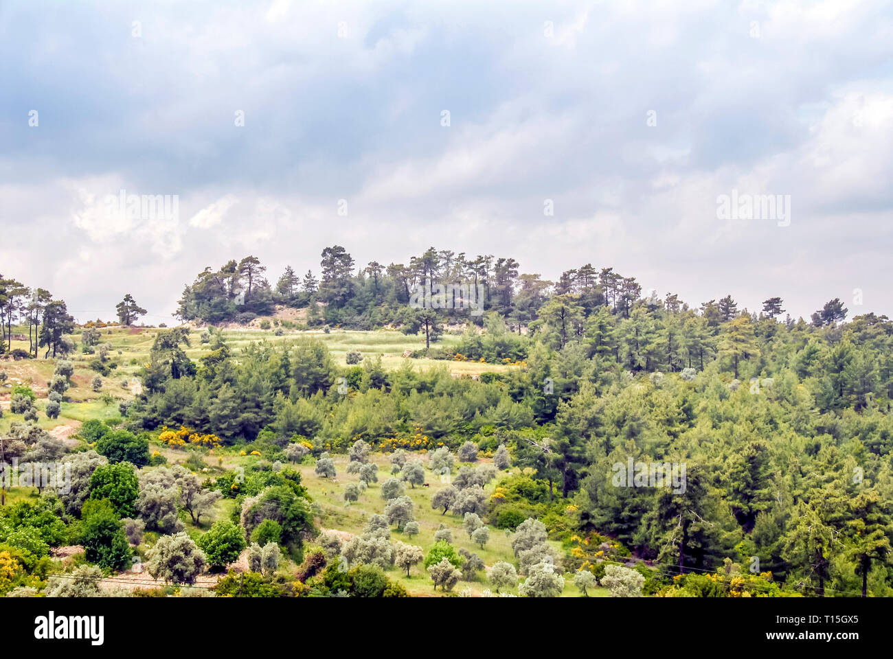 Oren turkey hi-res stock photography and images - Alamy