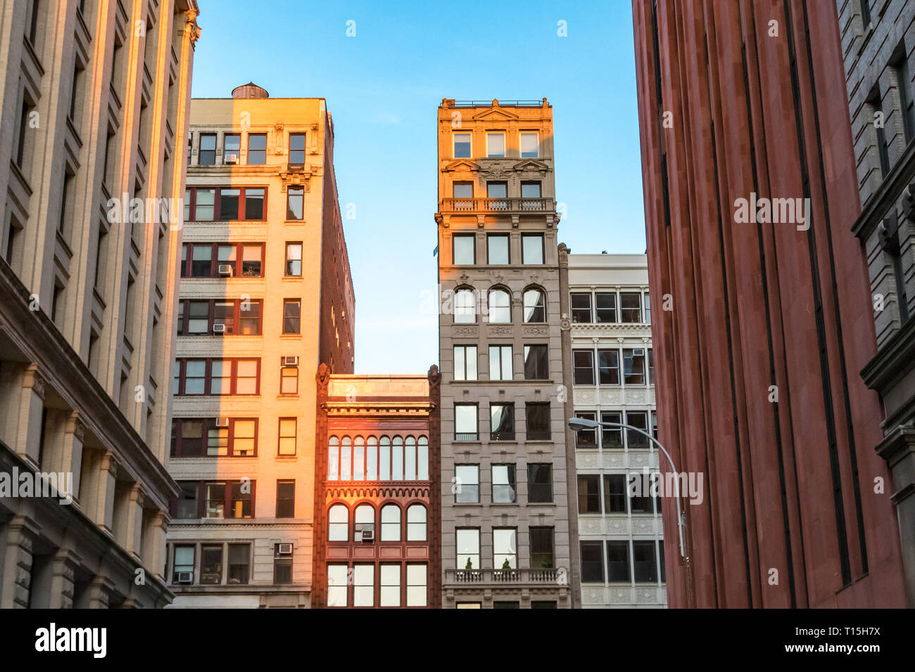 Nyc Buildings Street View