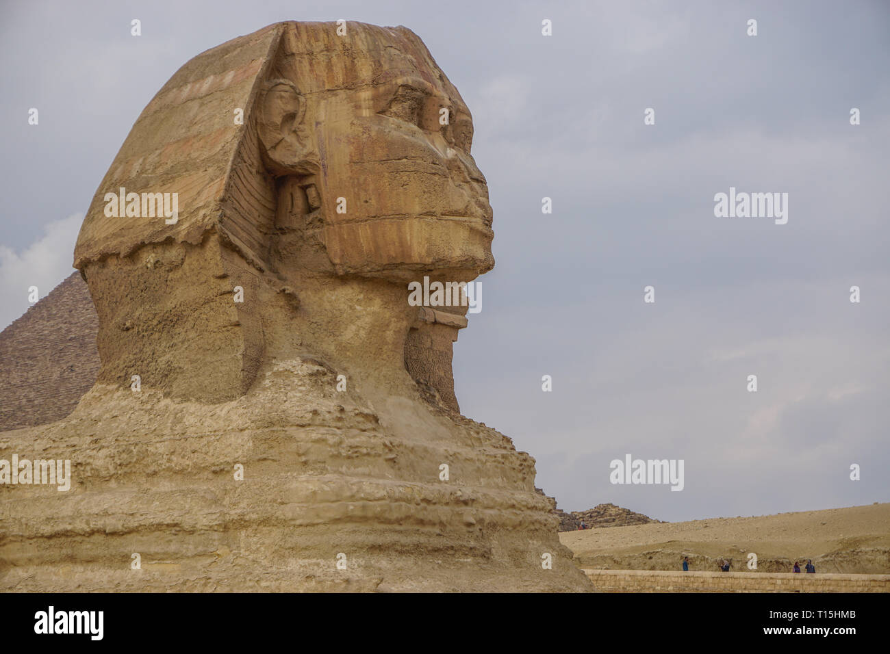 Giza, Egypt: Close-up profile of the Sphinx at the Khufu Pyramid ...