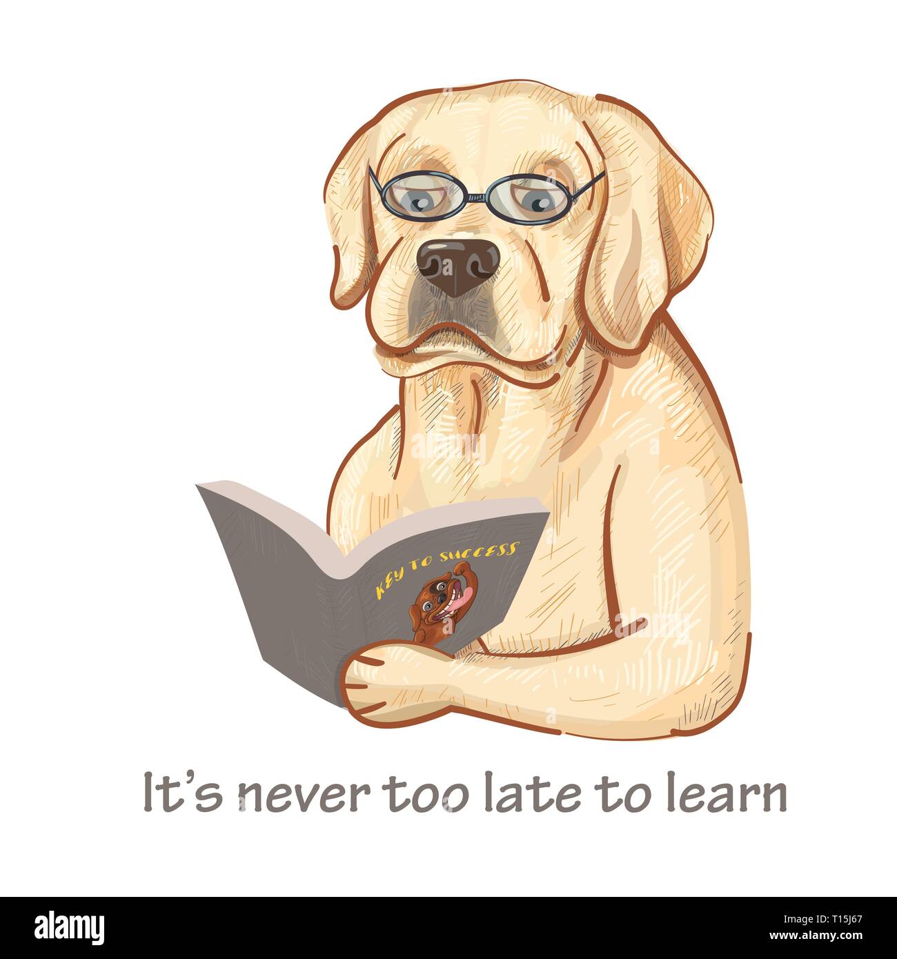 Cartoon of labrador dog wearing eyeglasses reading book, key to success ...