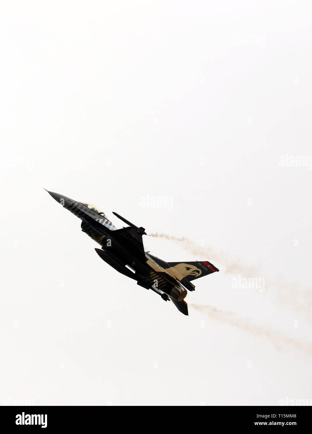 Islamabad, Pakistan. 23rd Mar, 2019. A Turkish fighter jet performs ...