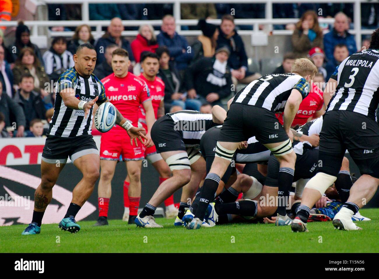 Scrum half from behind hi-res stock photography and images - Alamy