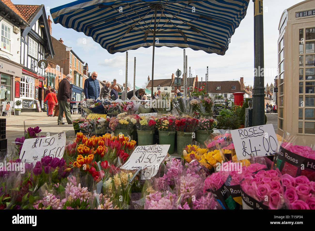 Beverley bloom hi-res stock photography and images - Alamy