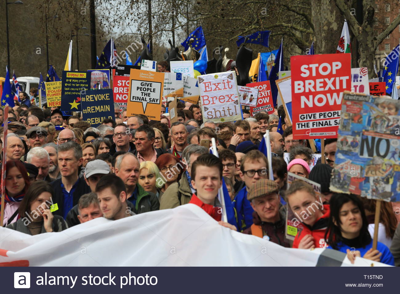 Rally movement hi-res stock photography and images - Alamy
