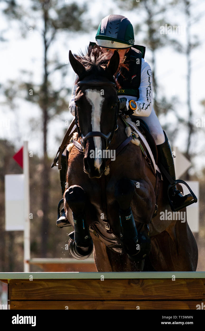 Raeford, North Carolina, USA. 22nd Mar, 2019. March 23, 2019 - Raeford ...