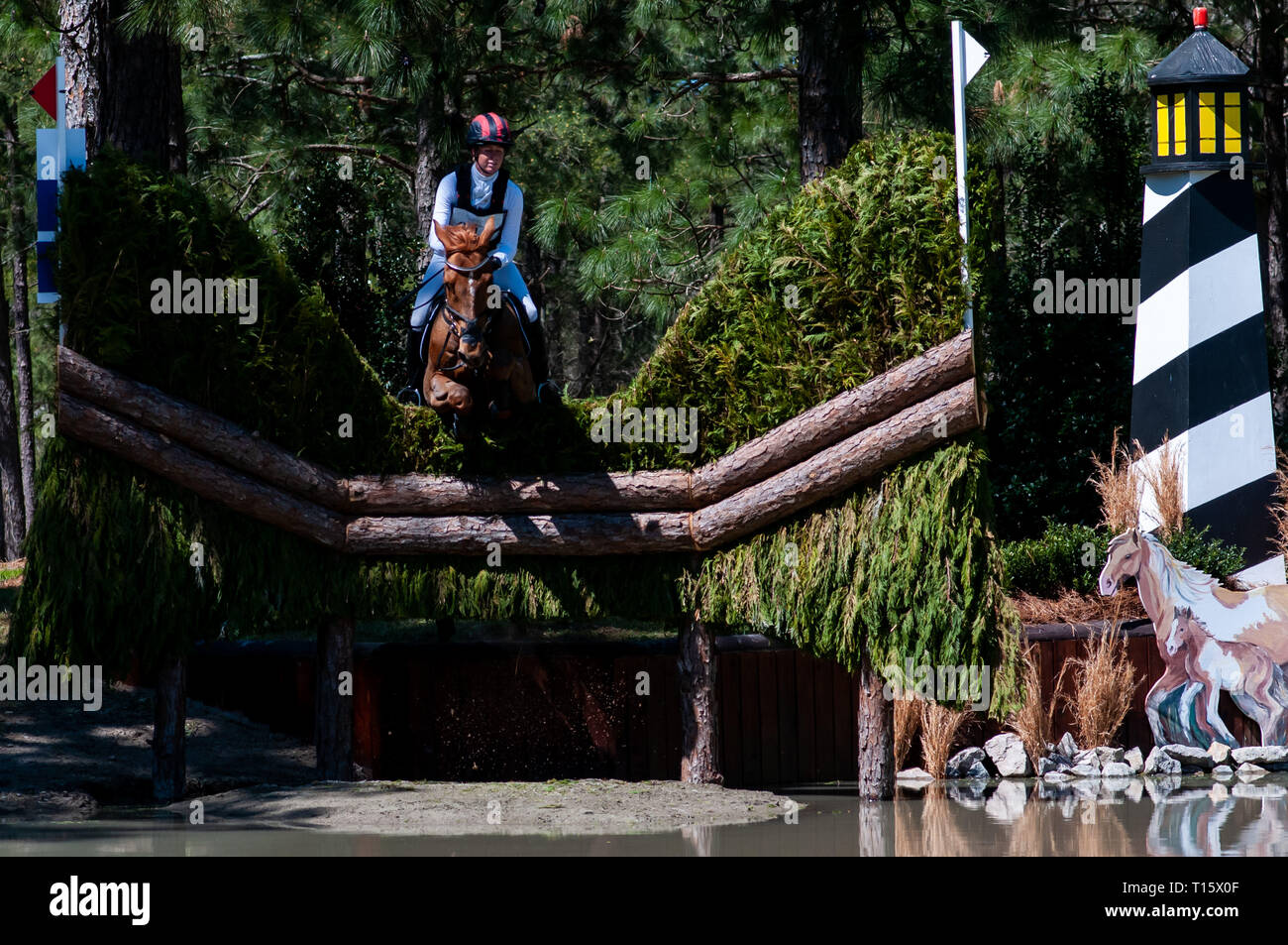 Caroline march horse hi-res stock photography and images - Alamy