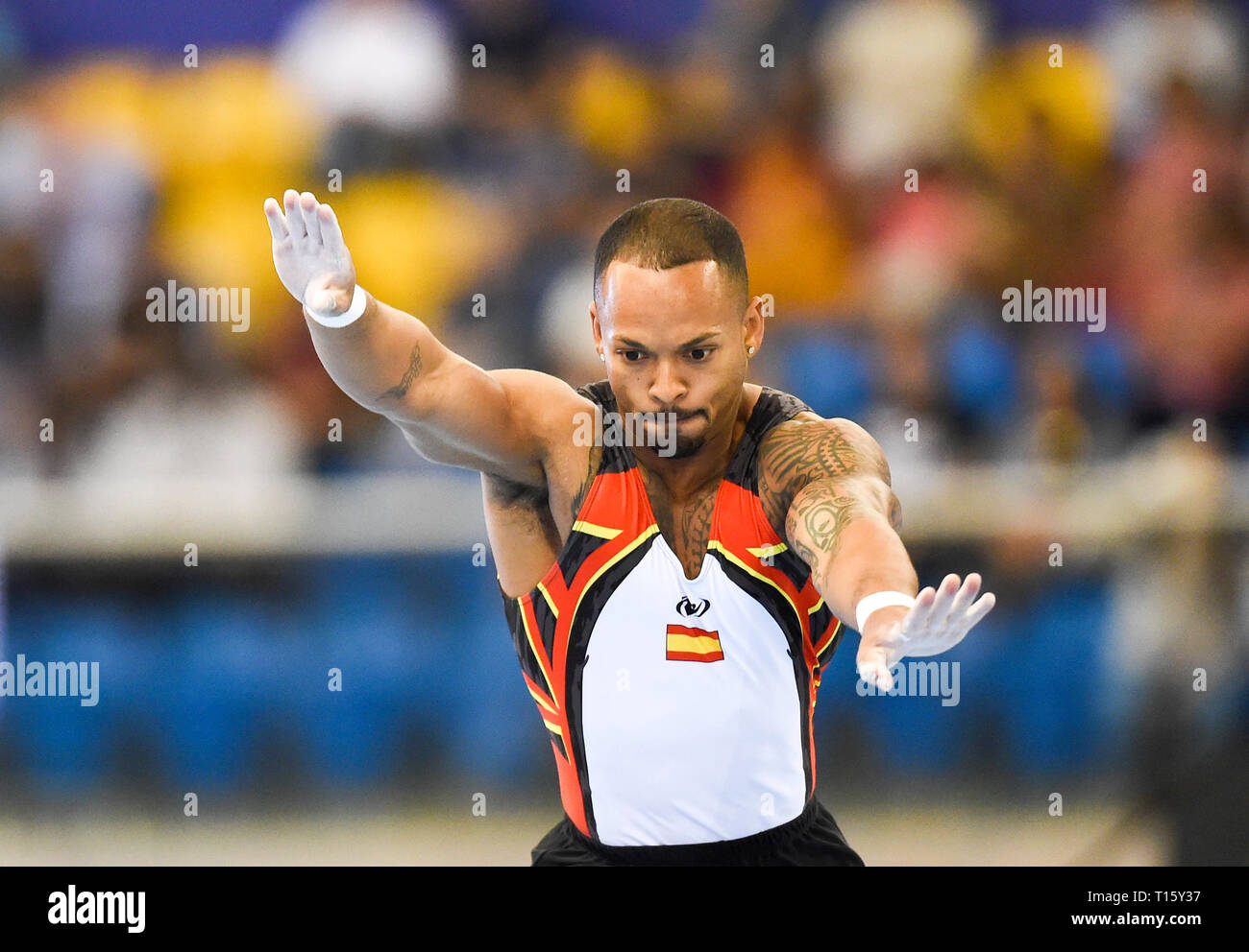 12th artistic gymnastics world cup hi-res stock photography and images ...