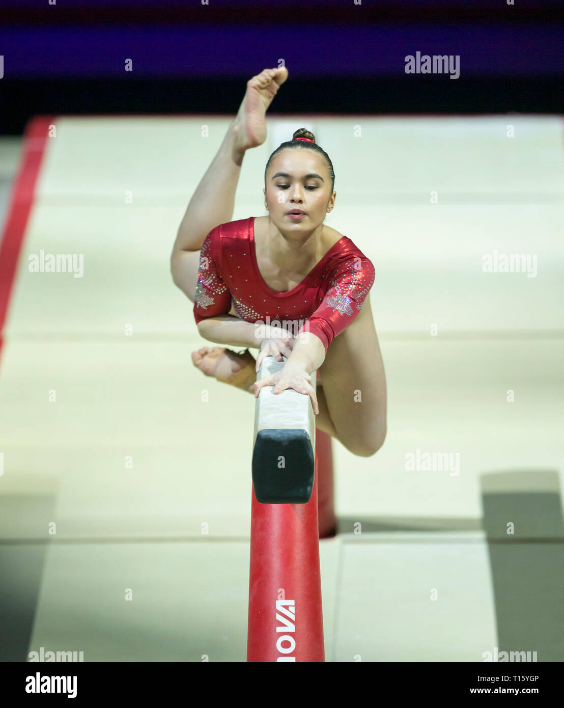 Resorts World Arena, Birmingham, UK. 23rd Mar, 2019. Gymnastics World ...