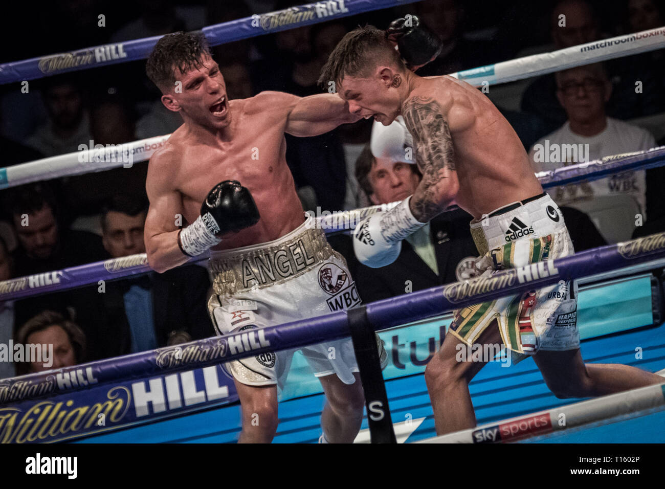 Charlie edwards boxer hi-res stock photography and images - Alamy