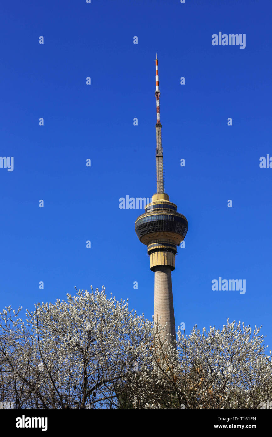 Yuyuantan park beijing park hi-res stock photography and images - Alamy