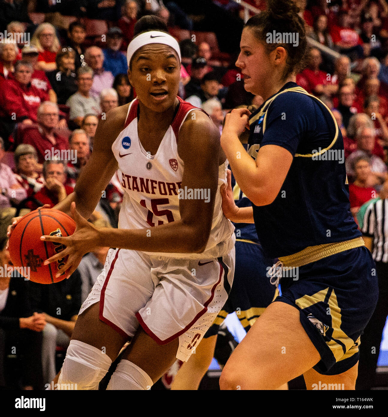 2019 321 Jpg High Resolution Stock Photography and Images - Alamy