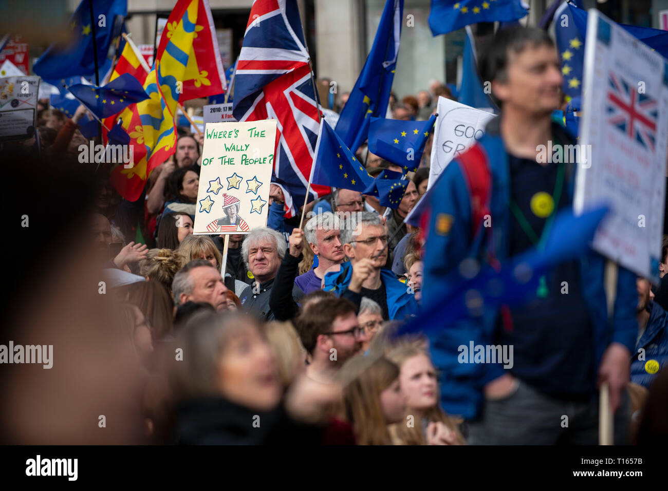 Pro-EU protesters on the Put It To The People March organised by the ...