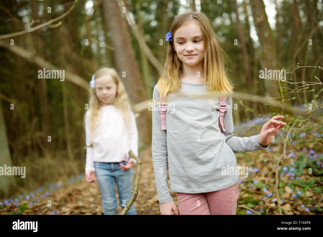 Two cute young sisters having fun during forest hike on beautiful early ...