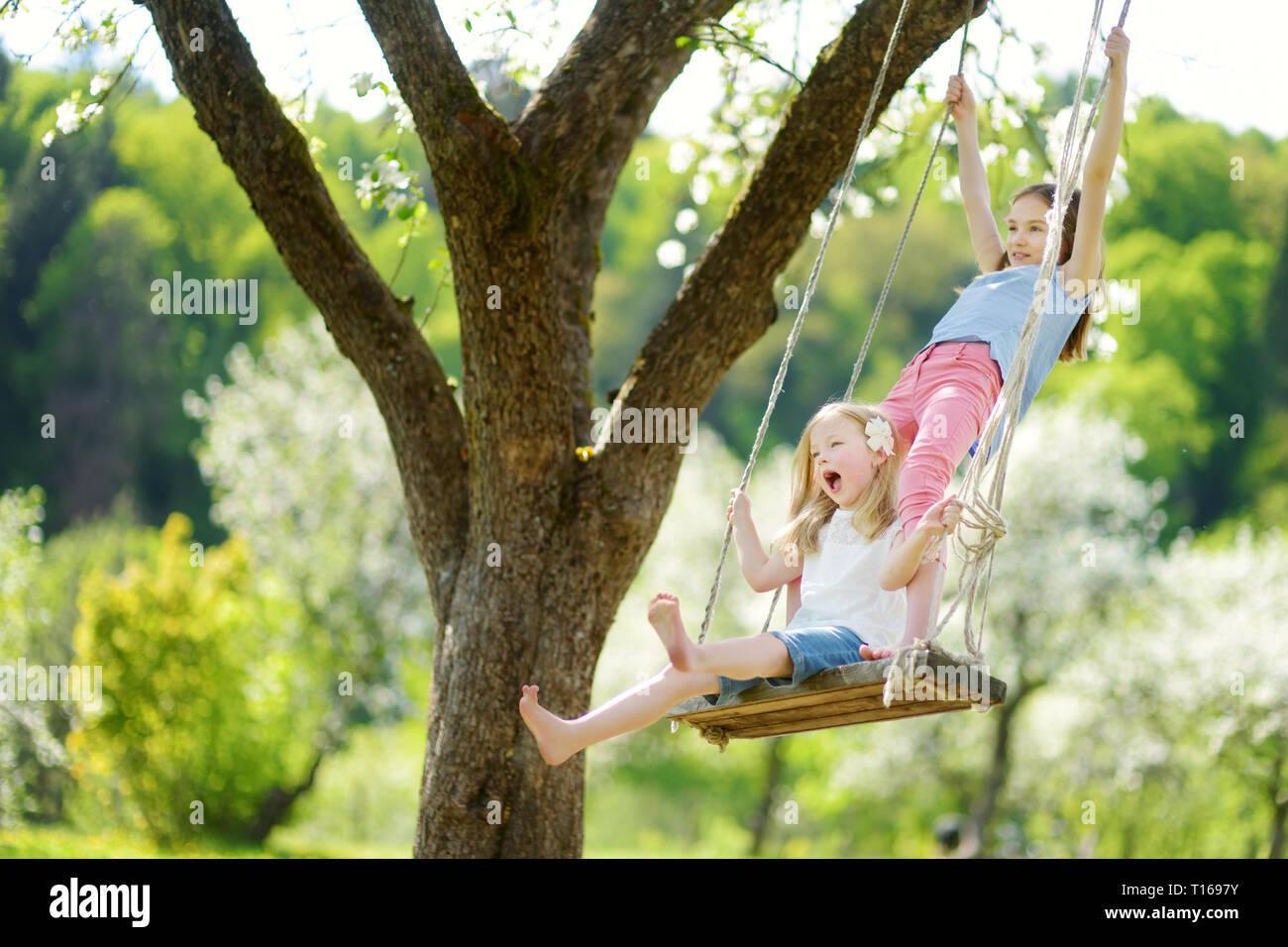 Swinging apple hi-res stock photography and images - Alamy