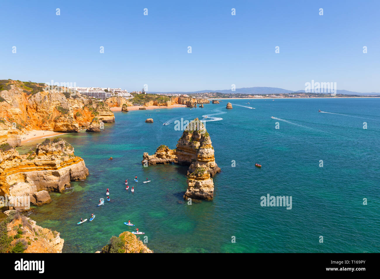 Sea shells in portugal hi-res stock photography and images - Alamy