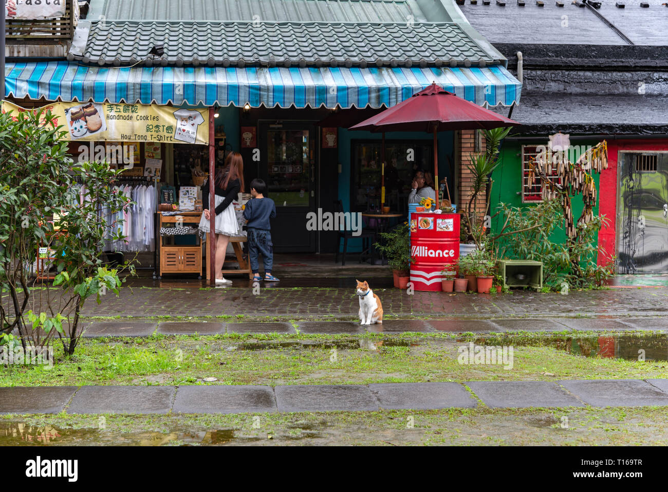 Houtong cat village. Taiwan famous cat population. The village is along ...