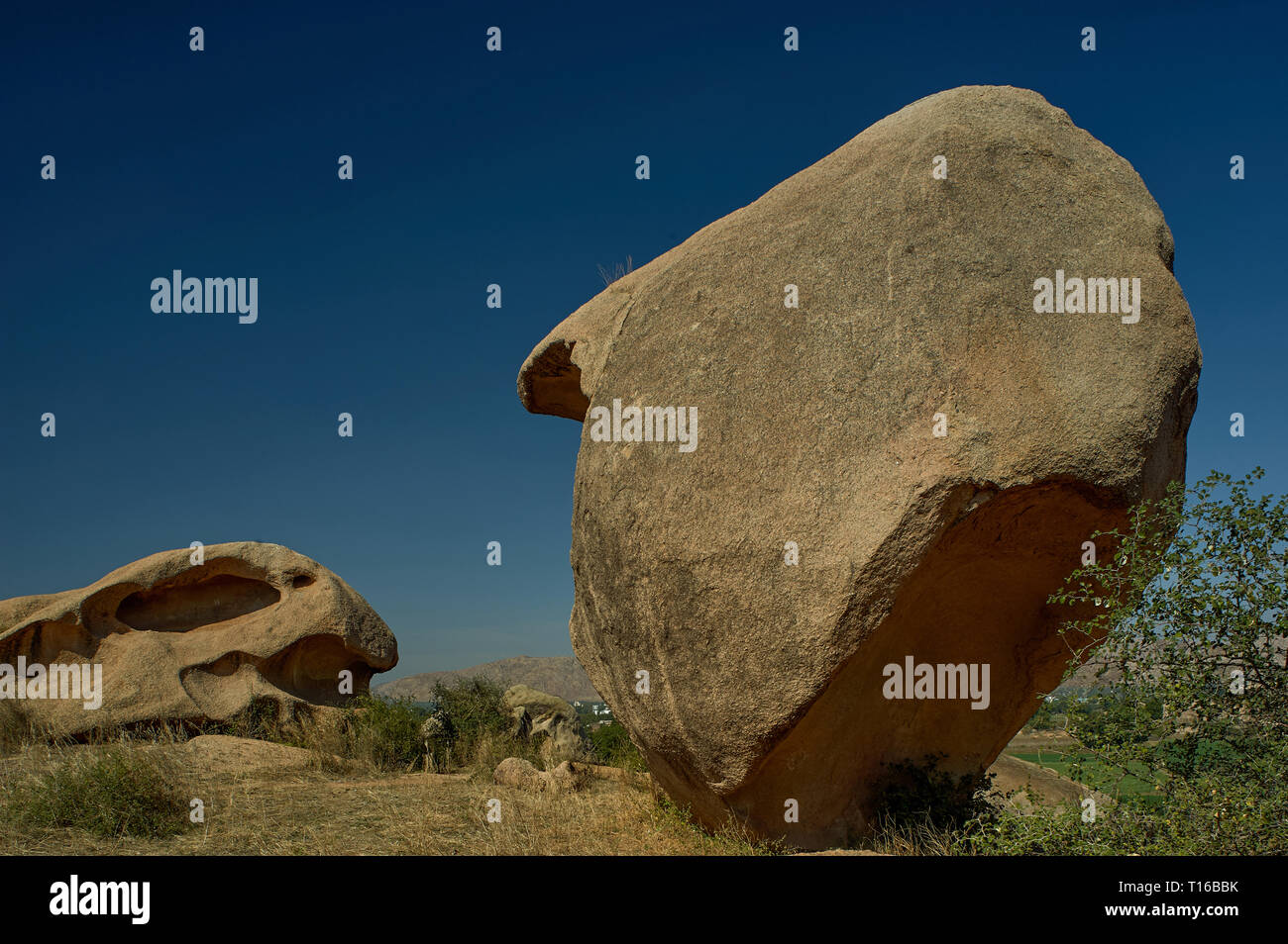 Jan 2011 hi-res stock photography and images - Alamy