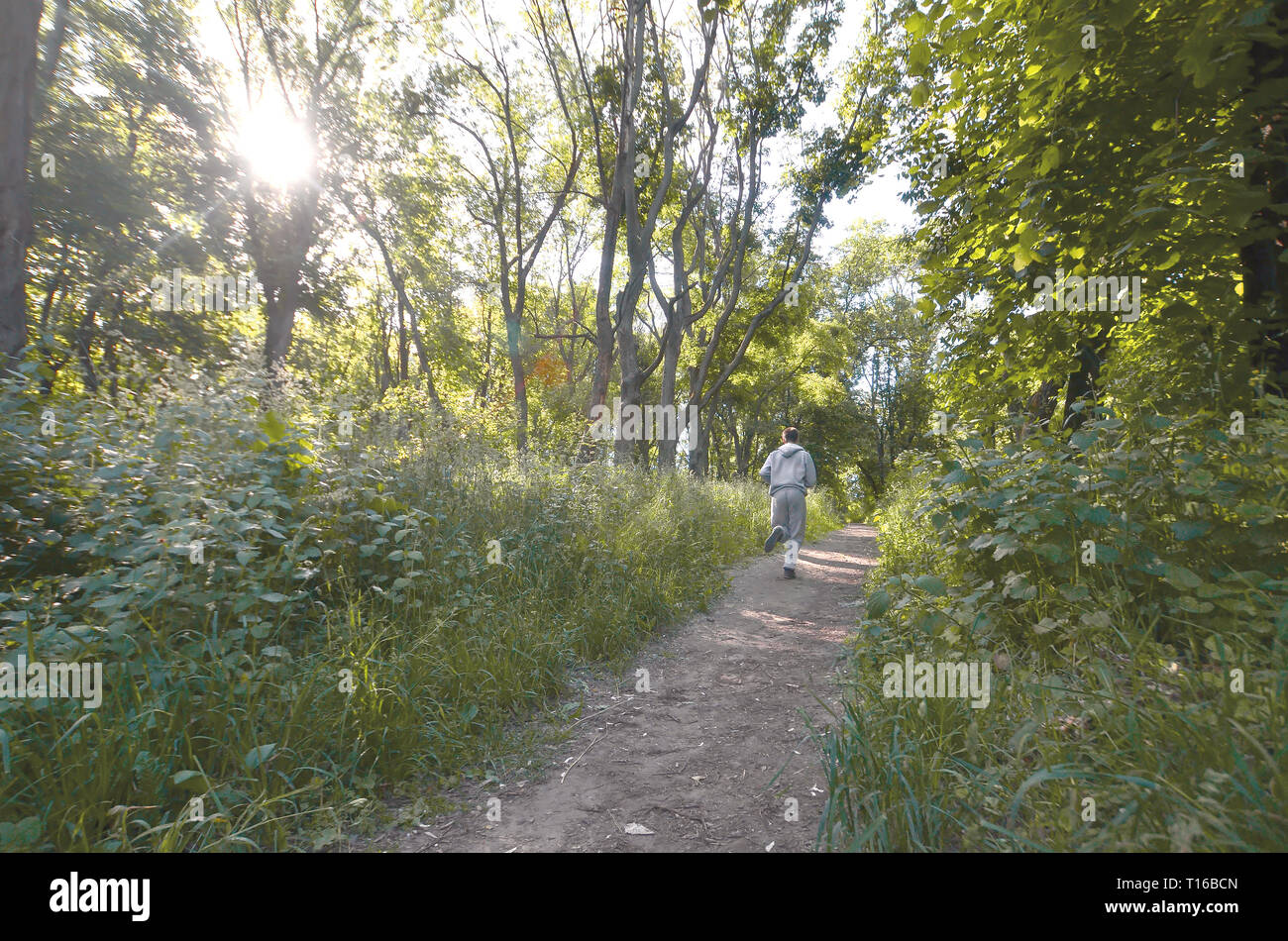 A young guy in a gray sports suit runs along the path among the trees ...