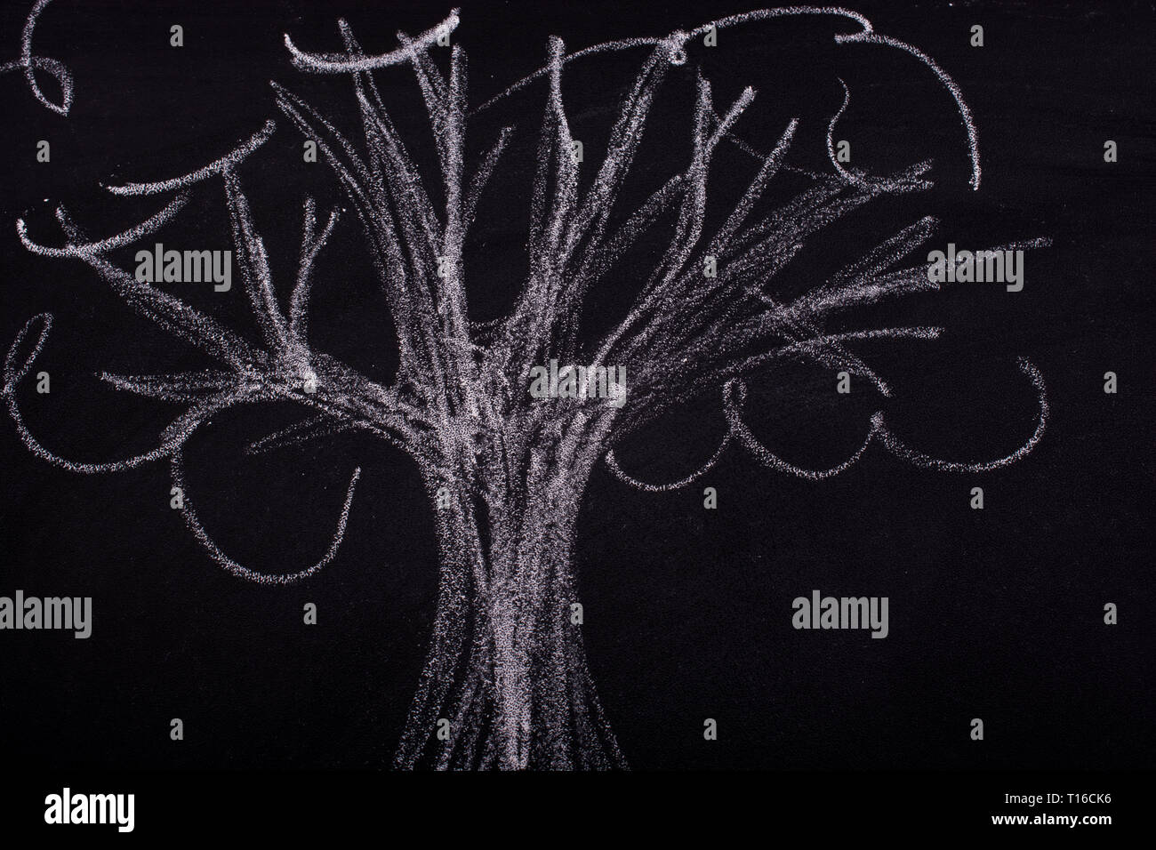 Hand drawing of tree with chalk on a blackboard Stock Photo - Alamy