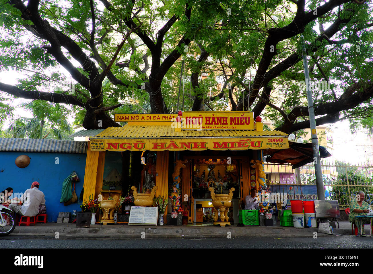 Small temple under canopy of old tree on street, green branch of tree ...