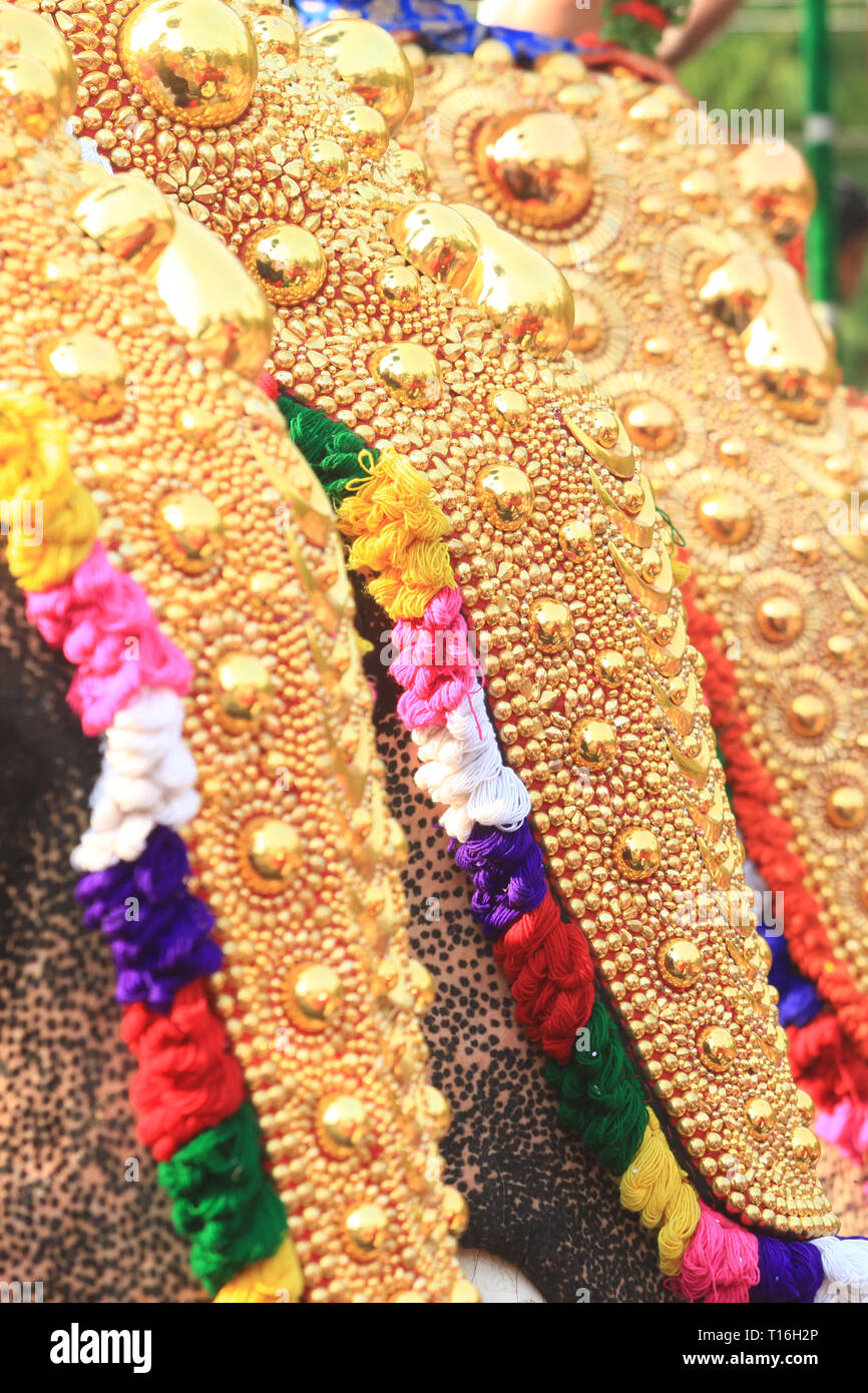 Elephant caparison hi-res stock photography and images - Alamy