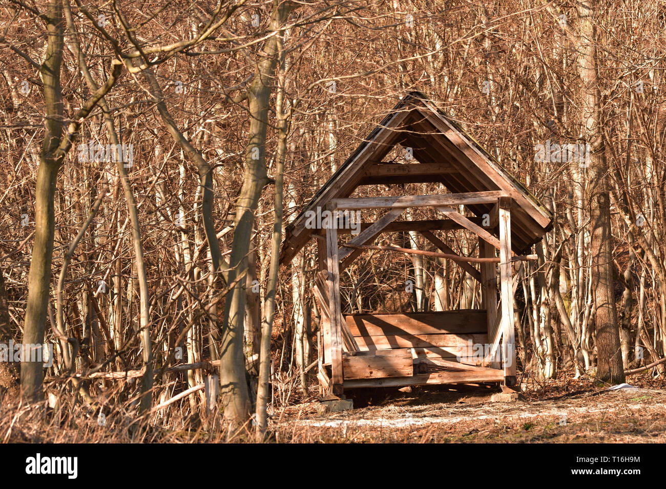 Spring fodder rack hi-res stock photography and images - Alamy