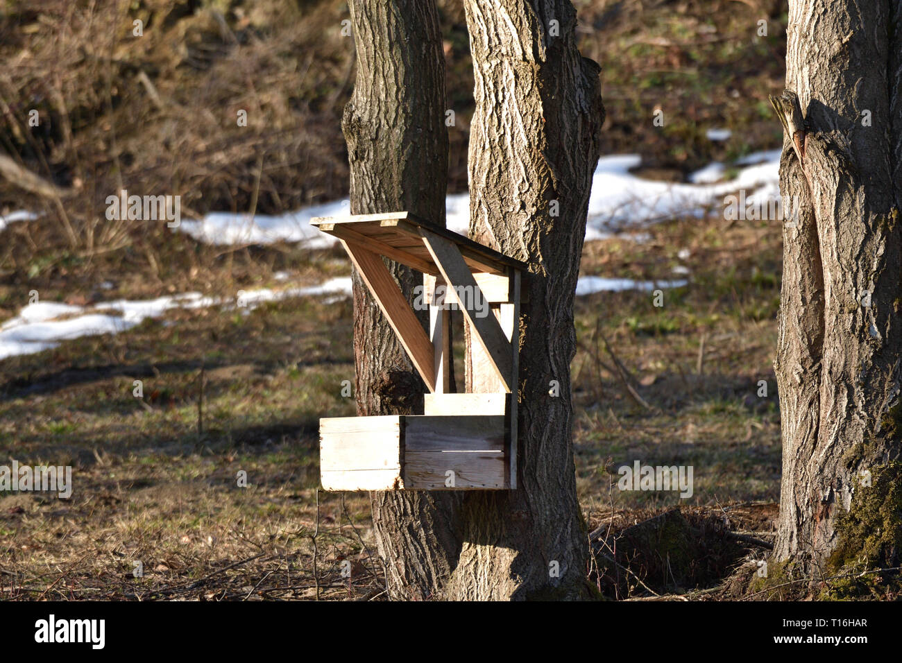 fodder rack for deer with food for animal in forest Stock Photo - Alamy