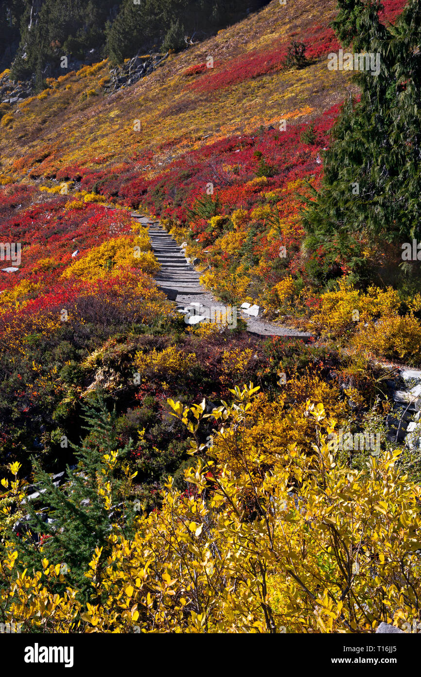 Mount washington valley fall colors hi-res stock photography and images ...