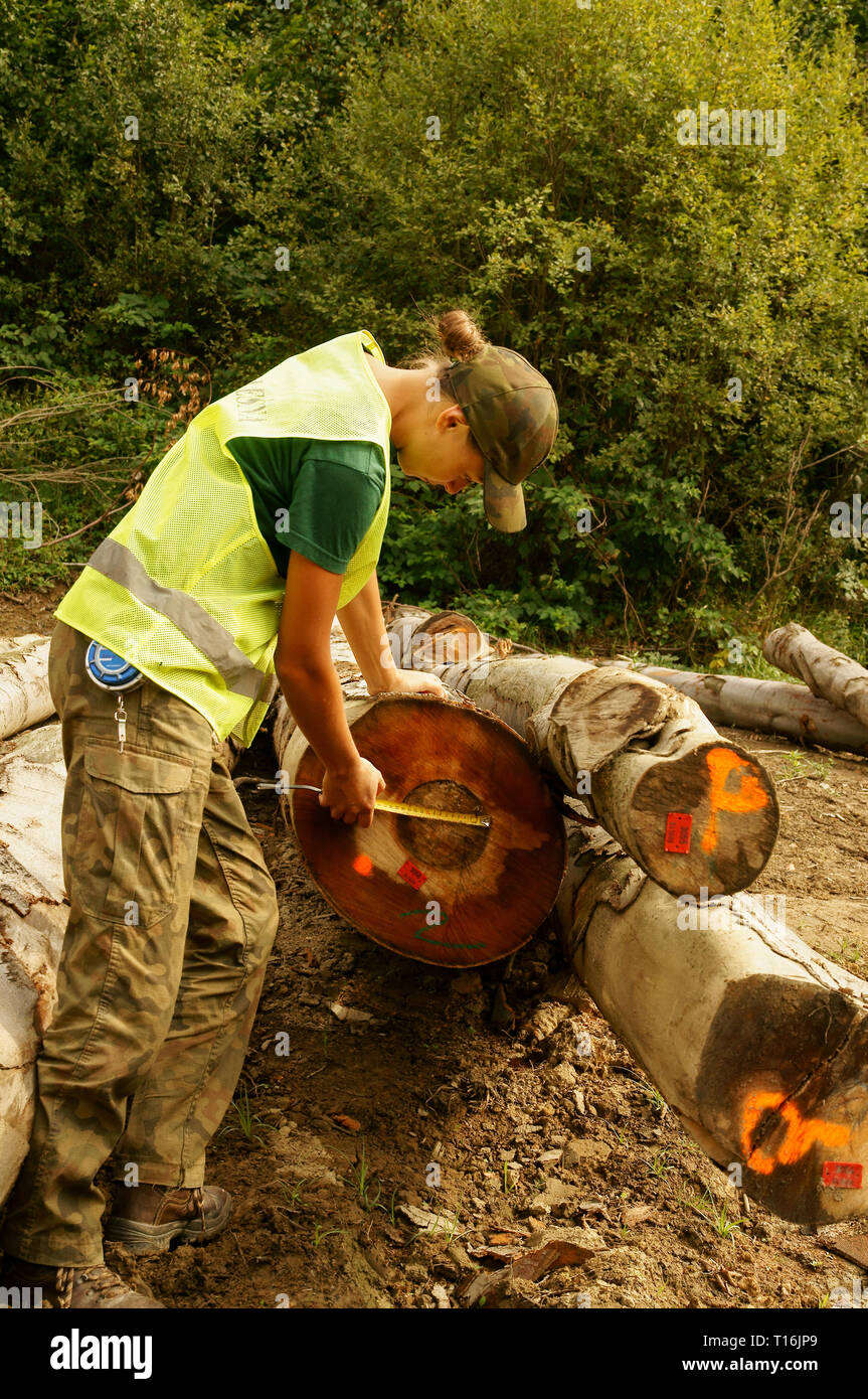 A beautiful woman works as a forester Stock Photo - Alamy
