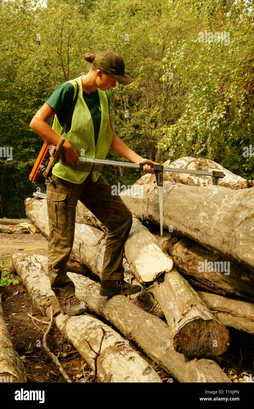 Forester at work Stock Photo - Alamy