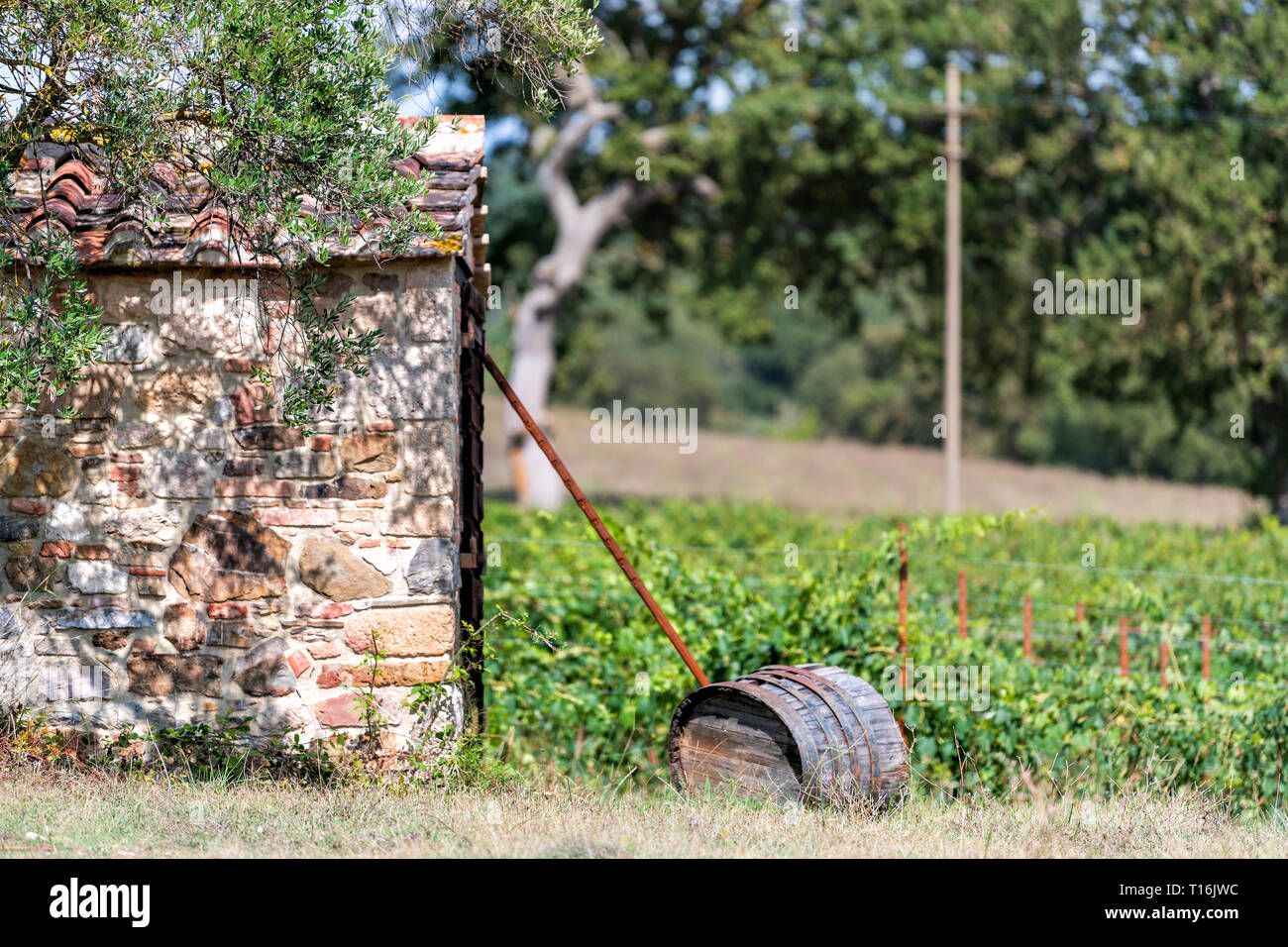 Wine barre hi-res stock photography and images - Alamy