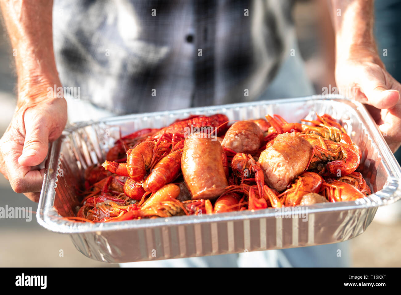 Closeup of lobsters and seafood with hands holding tray of red ...