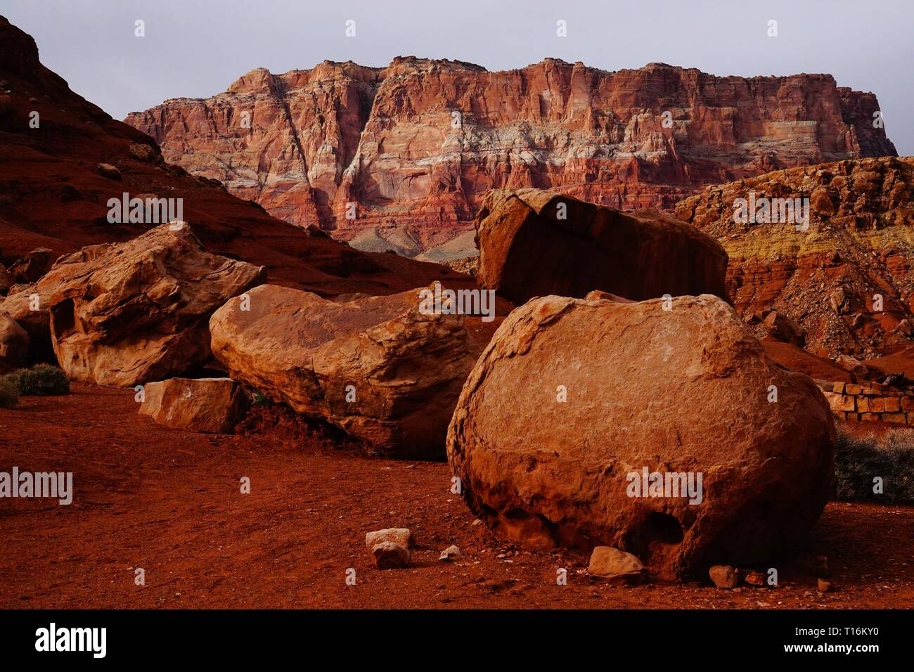 The story of Cliff Dwellers begins during the Great Depression, when ...