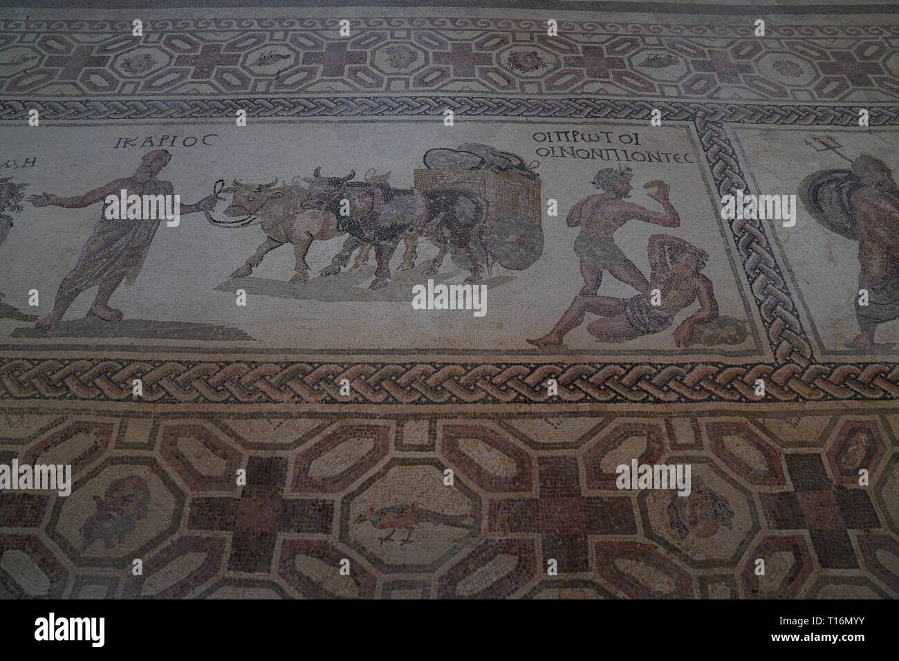 Paphos was the son of pygmalion hi-res stock photography and images - Alamy