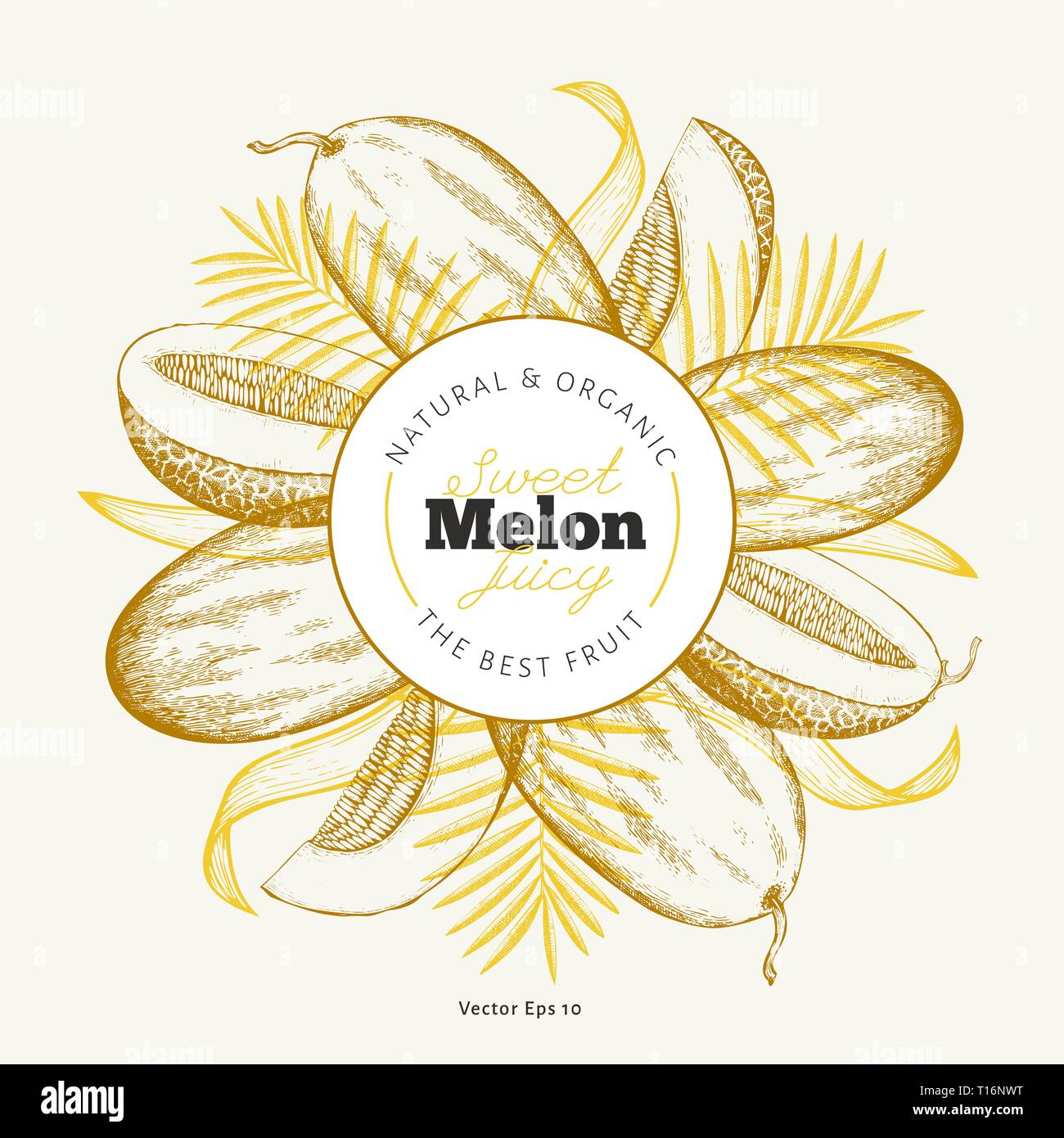Whole melon and a pieces of melon design template. Hand drawn vector ...