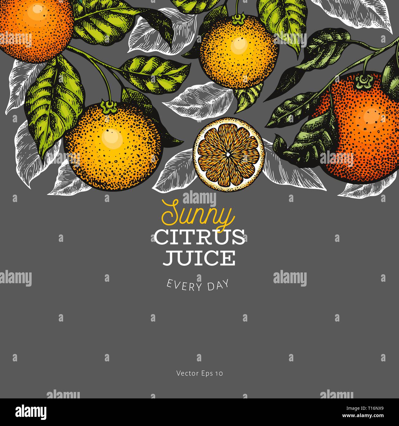 Citrus design templete. Hand drawn vector colour fruit illustration on ...