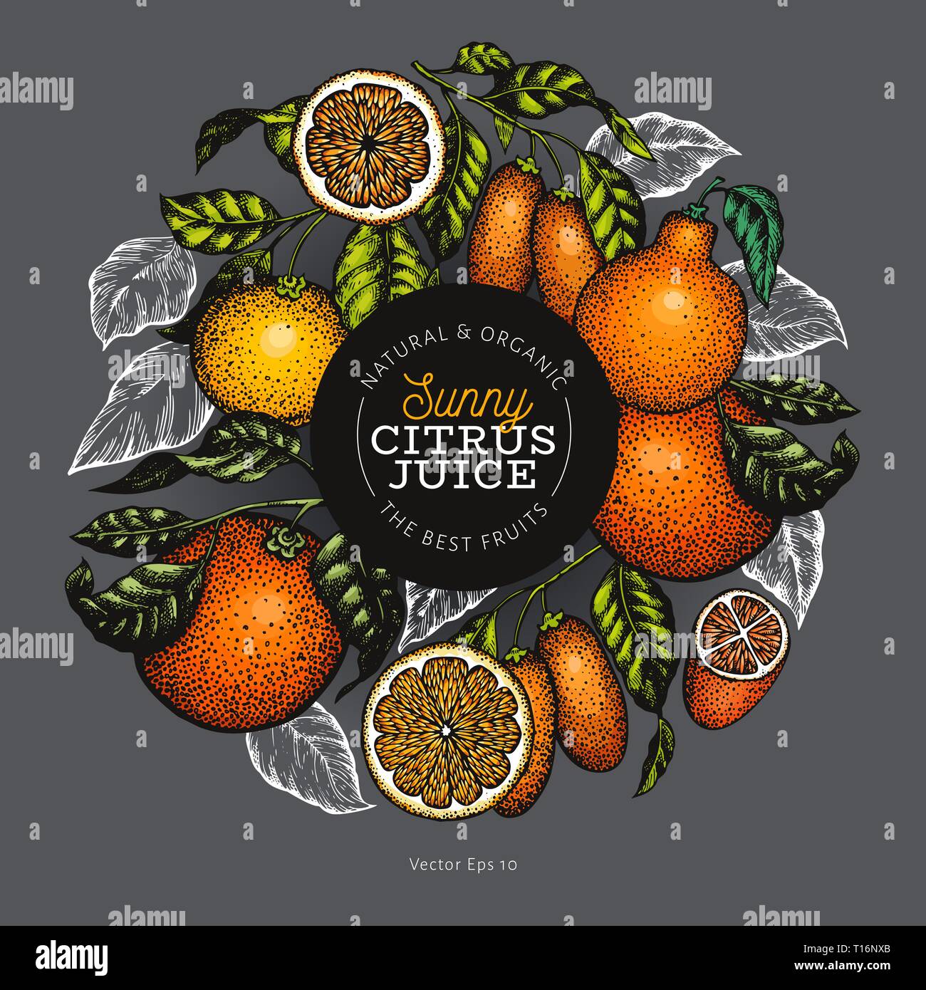 Citrus design templete. Hand drawn vector colour fruit illustration on ...