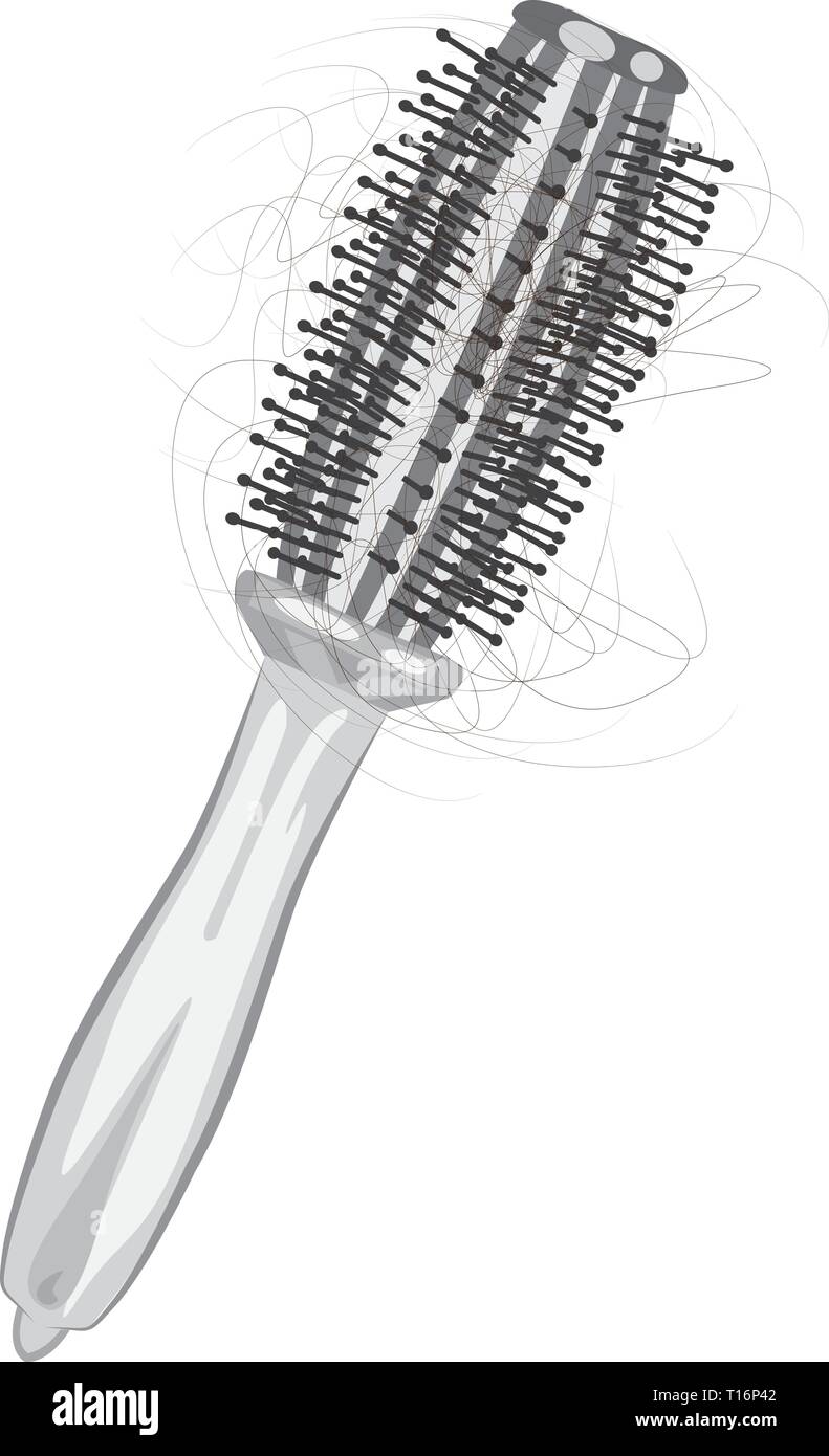 Brush Hair for hairstyling. Vector illustration on a white background ...