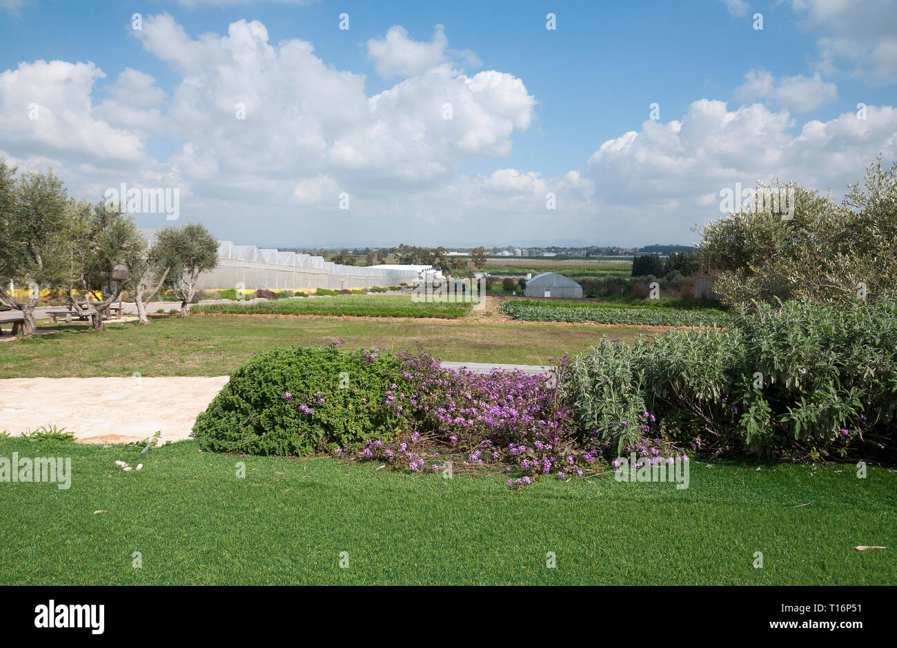 Food farms, vegetables and organic fruits Stock Photo - Alamy
