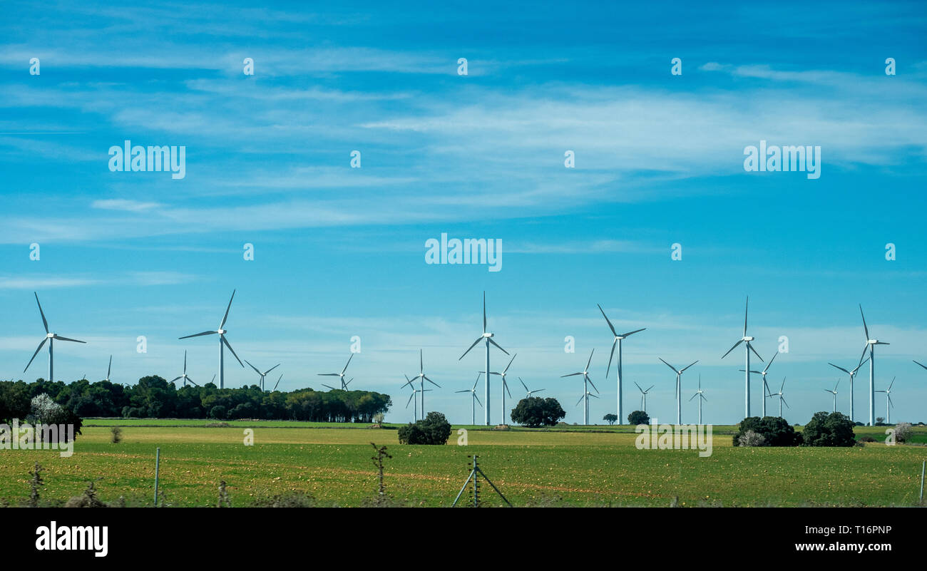 Pictures of wind energy mills from a car on the motorway Stock Photo ...