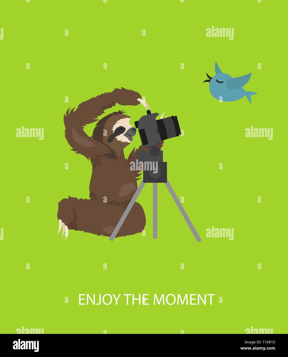 The story of one sloth. Traveling, holiday. Funny cartoon sloths in ...