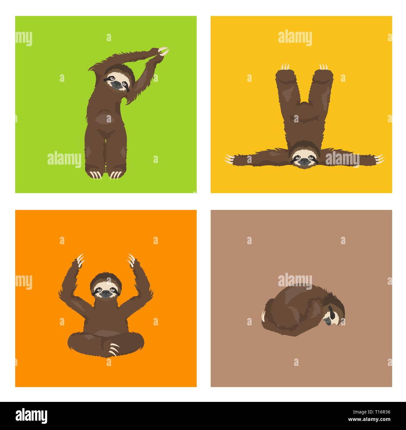 Sloth yoga collection. Funny cartoon animals in different postures set ...