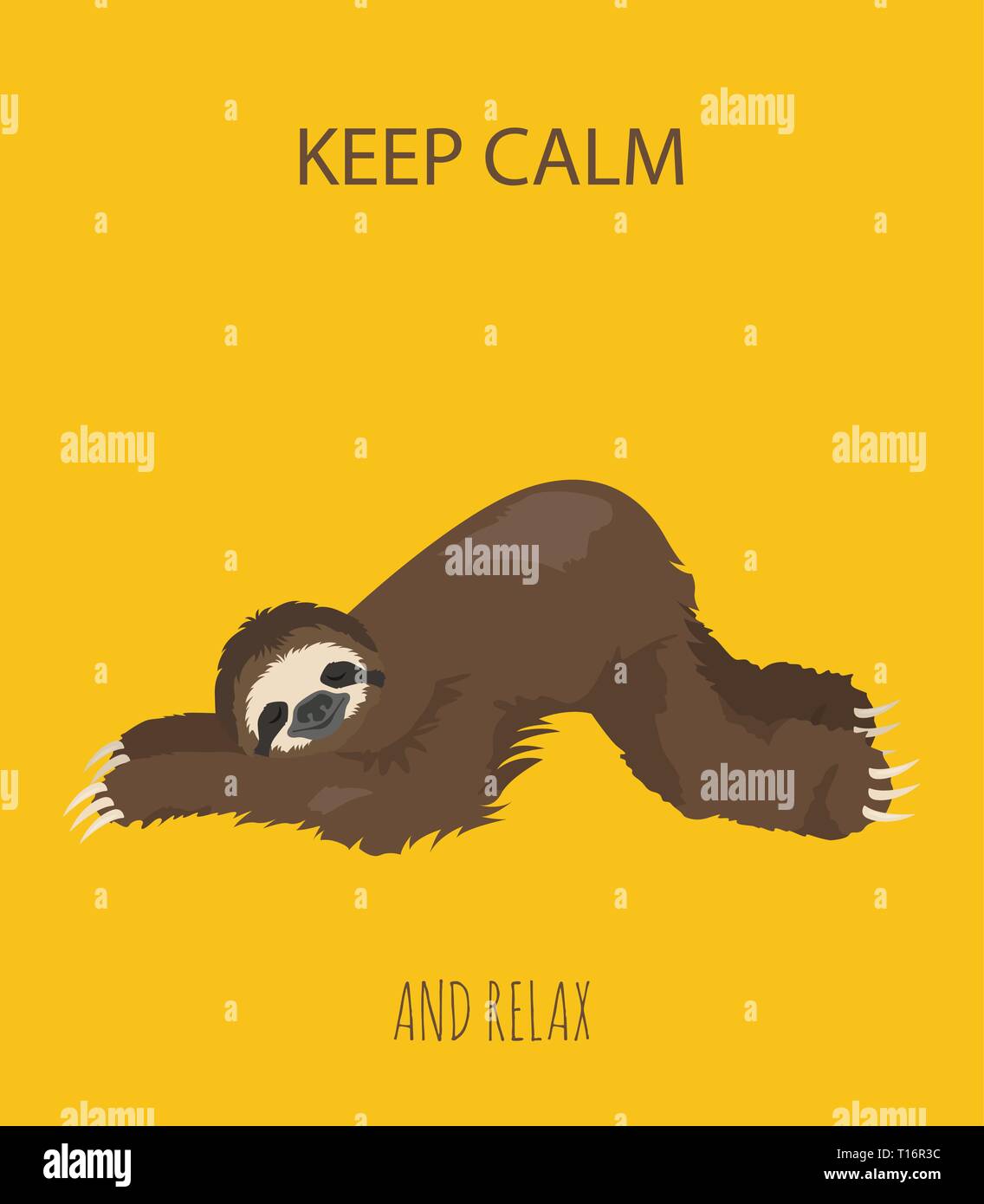 Sloth yoga collection. Funny cartoon animals in different postures set ...